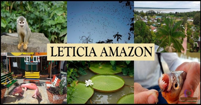 Leticia the Gateway to the Amazon - Travelbookworm