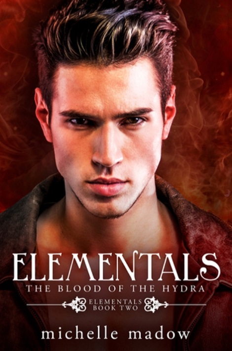 Elementals Series by Michelle Madow - Travelbookworm