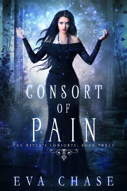 The Witch's Consorts Series by Eva Chase - Travelbookworm
